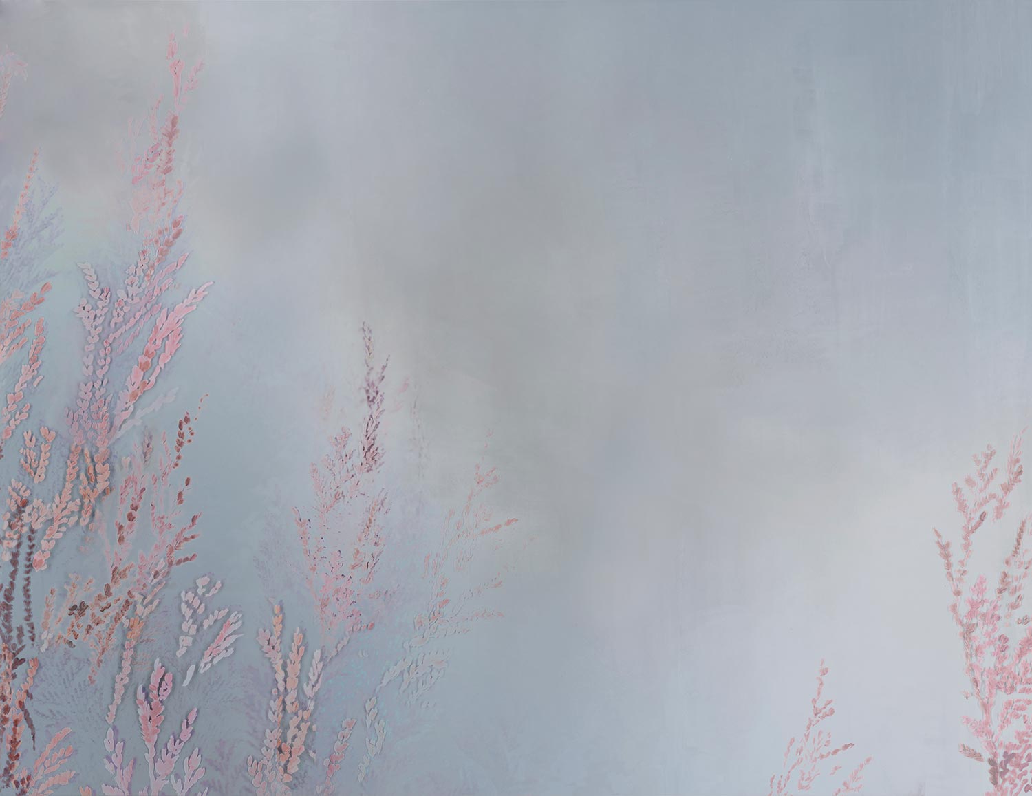 CORALINE | Tecnografica